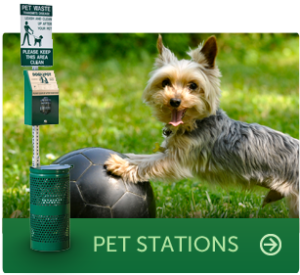 About Us - DogiPot
