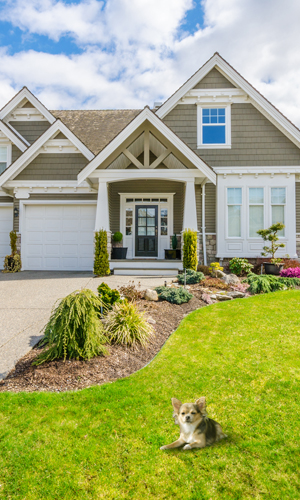 PROTECTING YOUR HOUSE AND LAWN AGAINST DOGGIE DOO - DogiPot