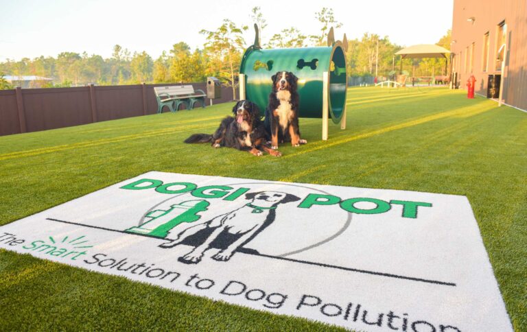 Artificial Grass - DogiPot